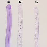 How To Measure Dyne Levels In Substrates